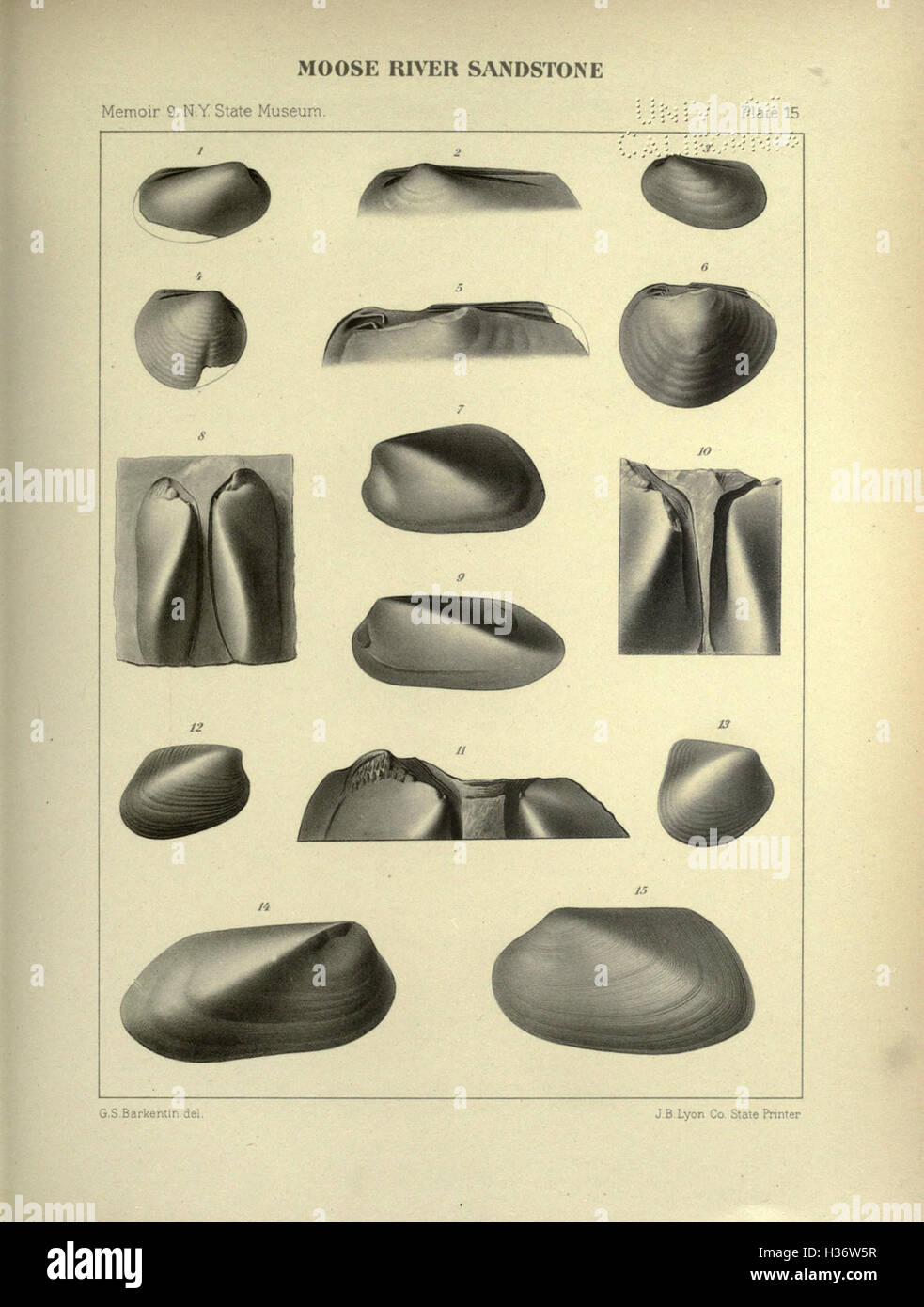 This book provides an in-depth exploration of the Early Devonian period ...