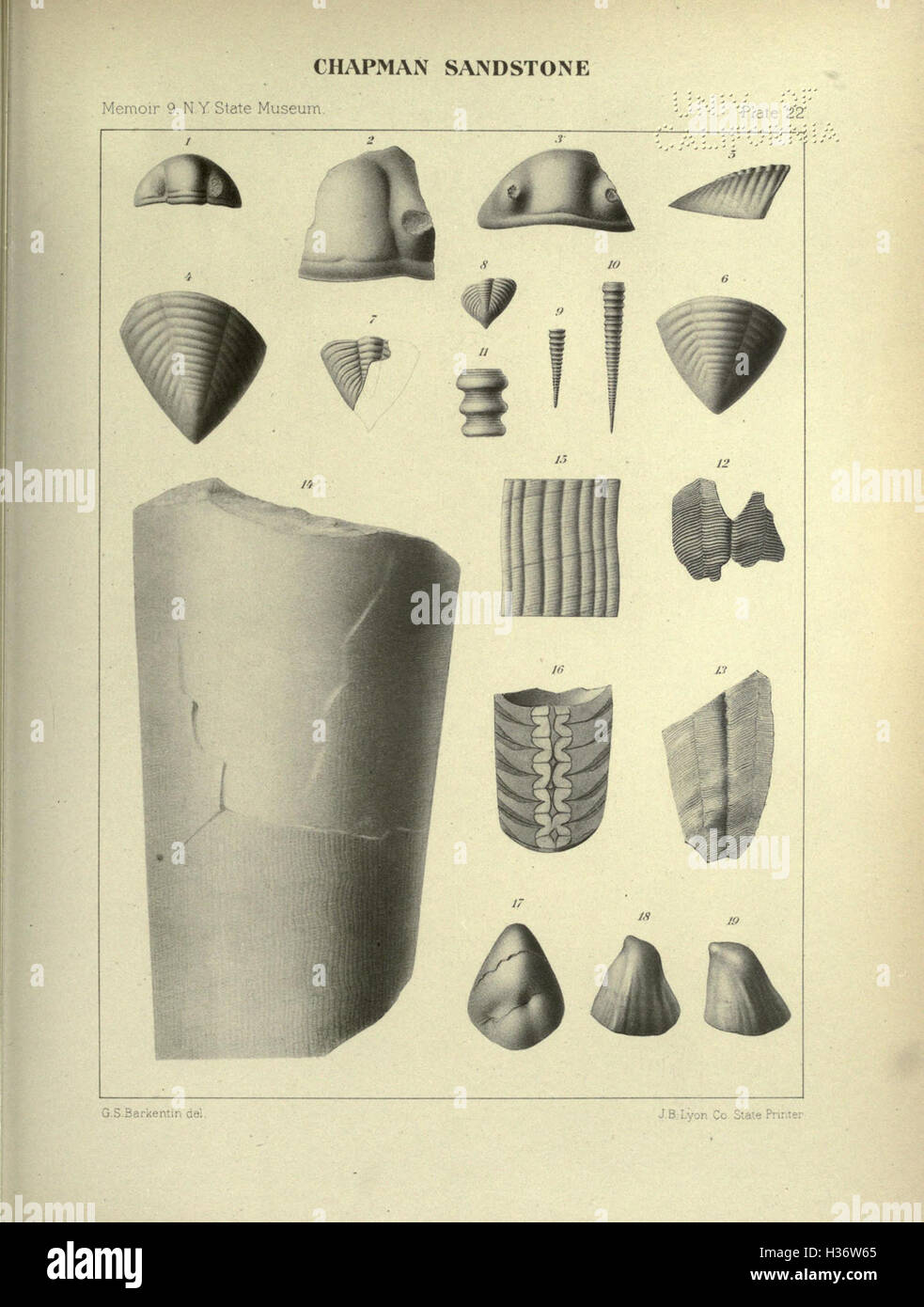 This text covers the Early Devonian period, detailing the geological ...