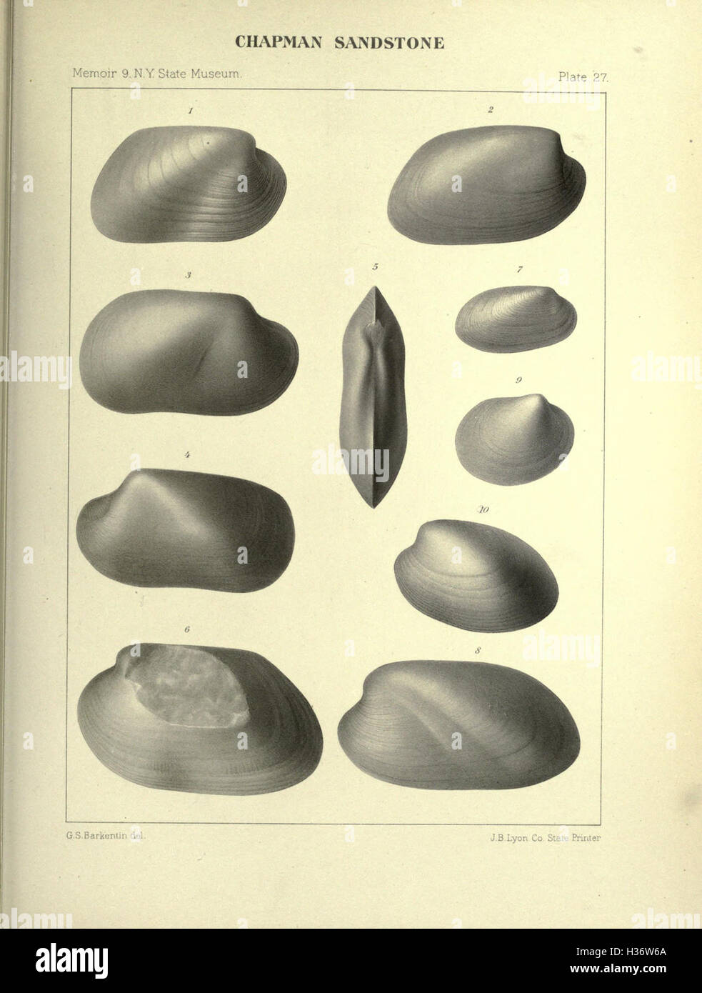 This page explores the Early Devonian period in New York and eastern ...