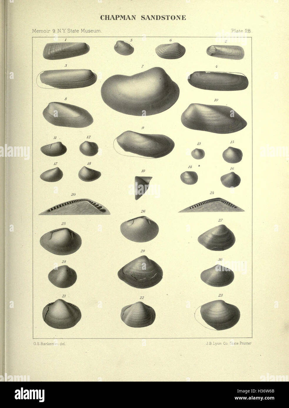 'Early Devonian History of New York and Eastern North America' explores ...
