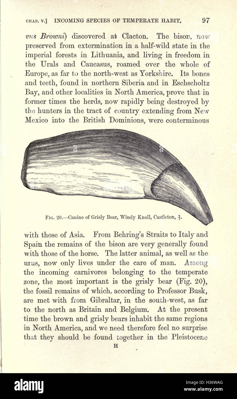 Early Tertiary Period High Resolution Stock Photography and Images - Alamy