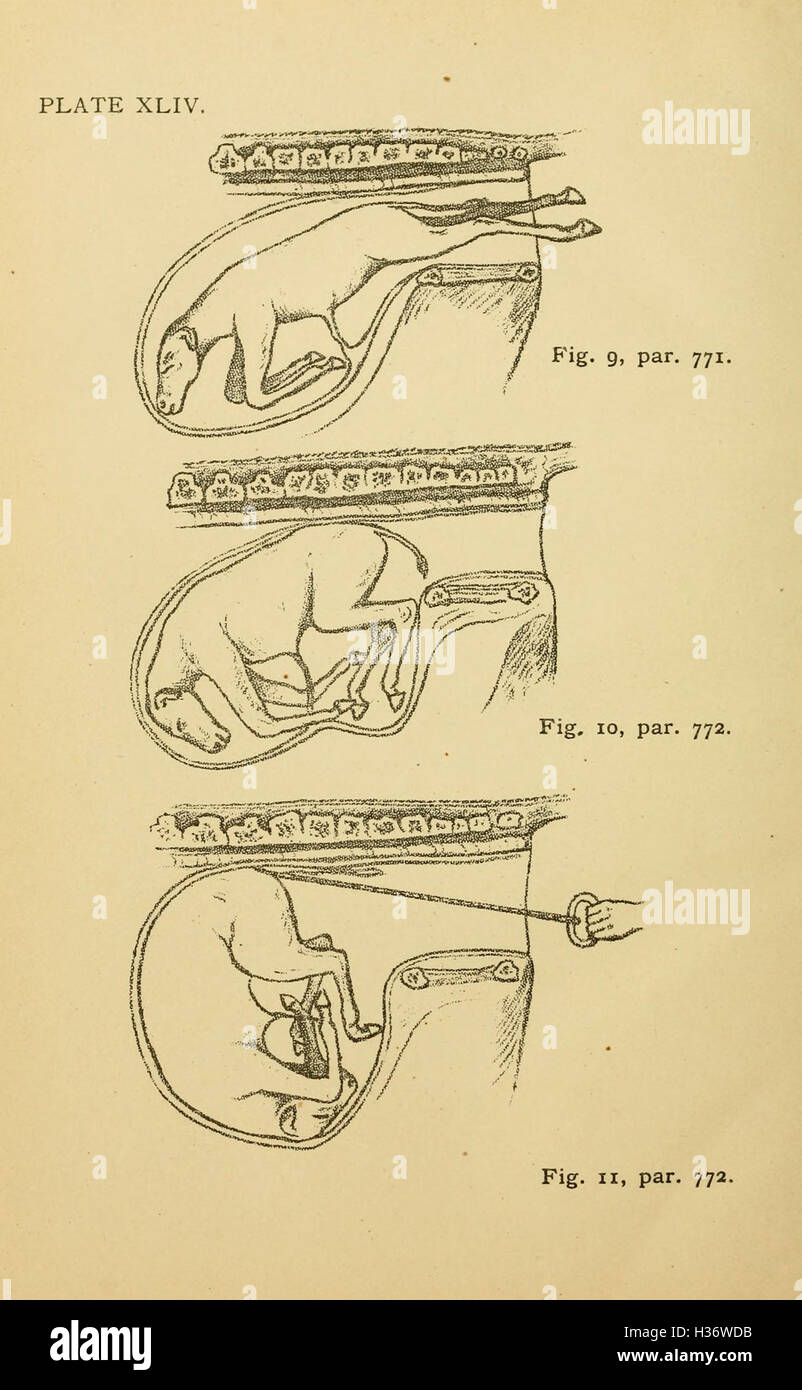 This text offers an introduction to veterinary science, designed for ...