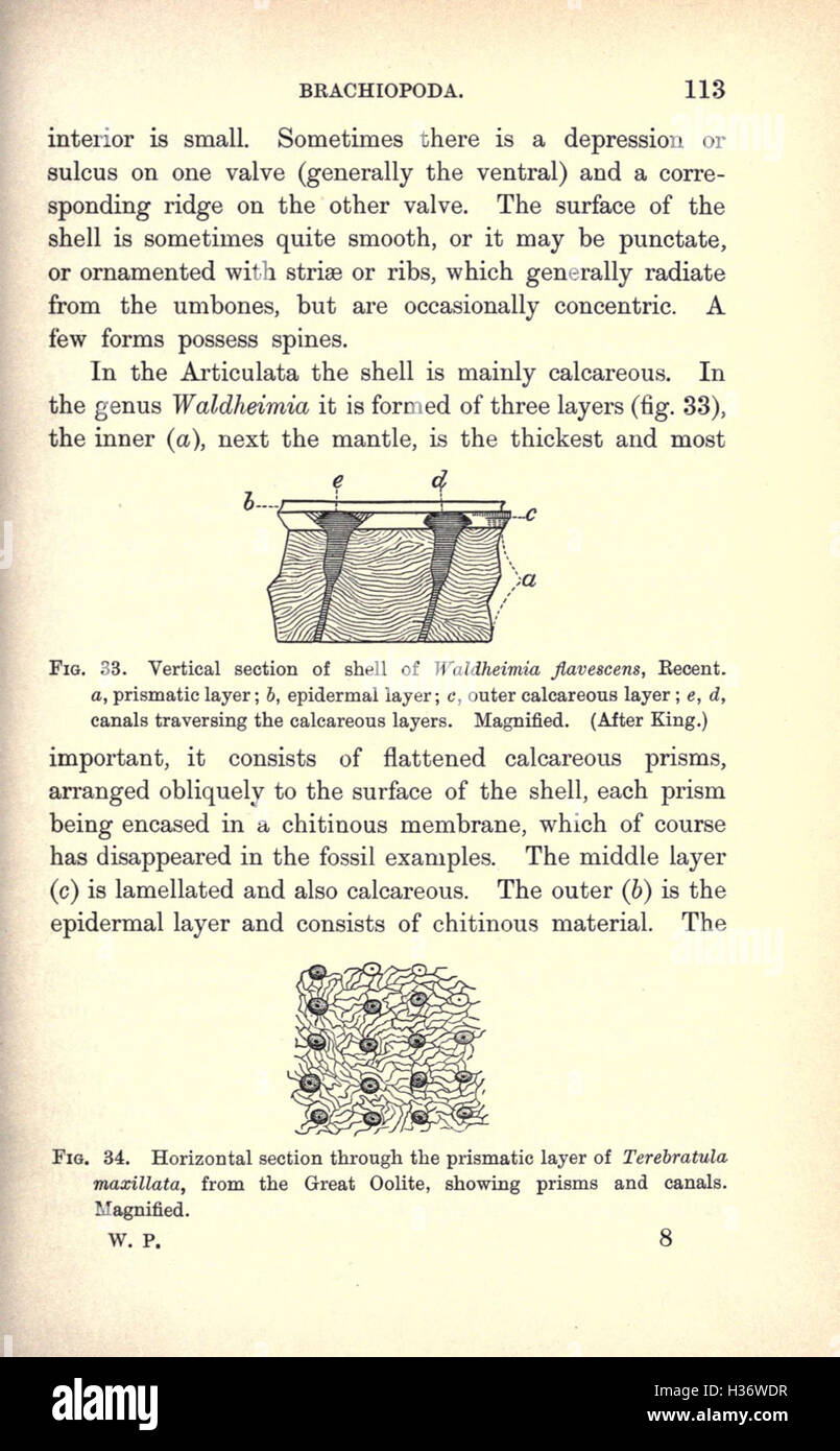 This text offers an introduction to paleontology for geology students ...