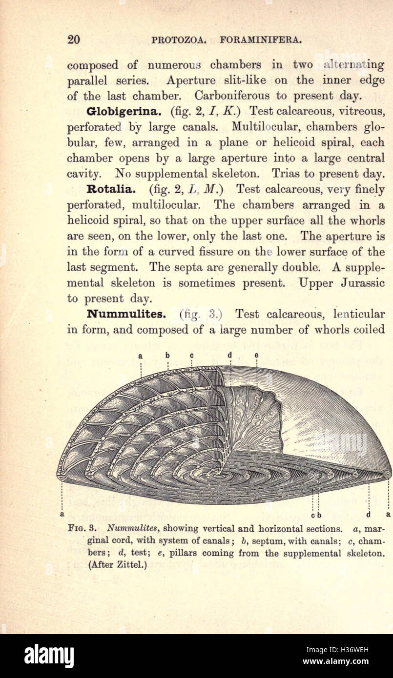This textbook provides an introduction to paleontology for geology ...