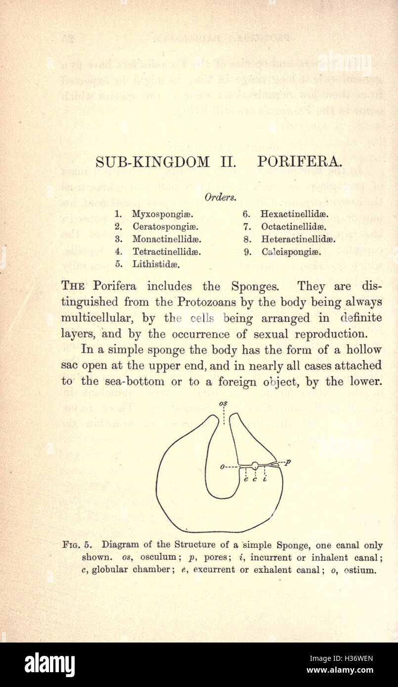 This page introduces key concepts in paleontology for students studying ...