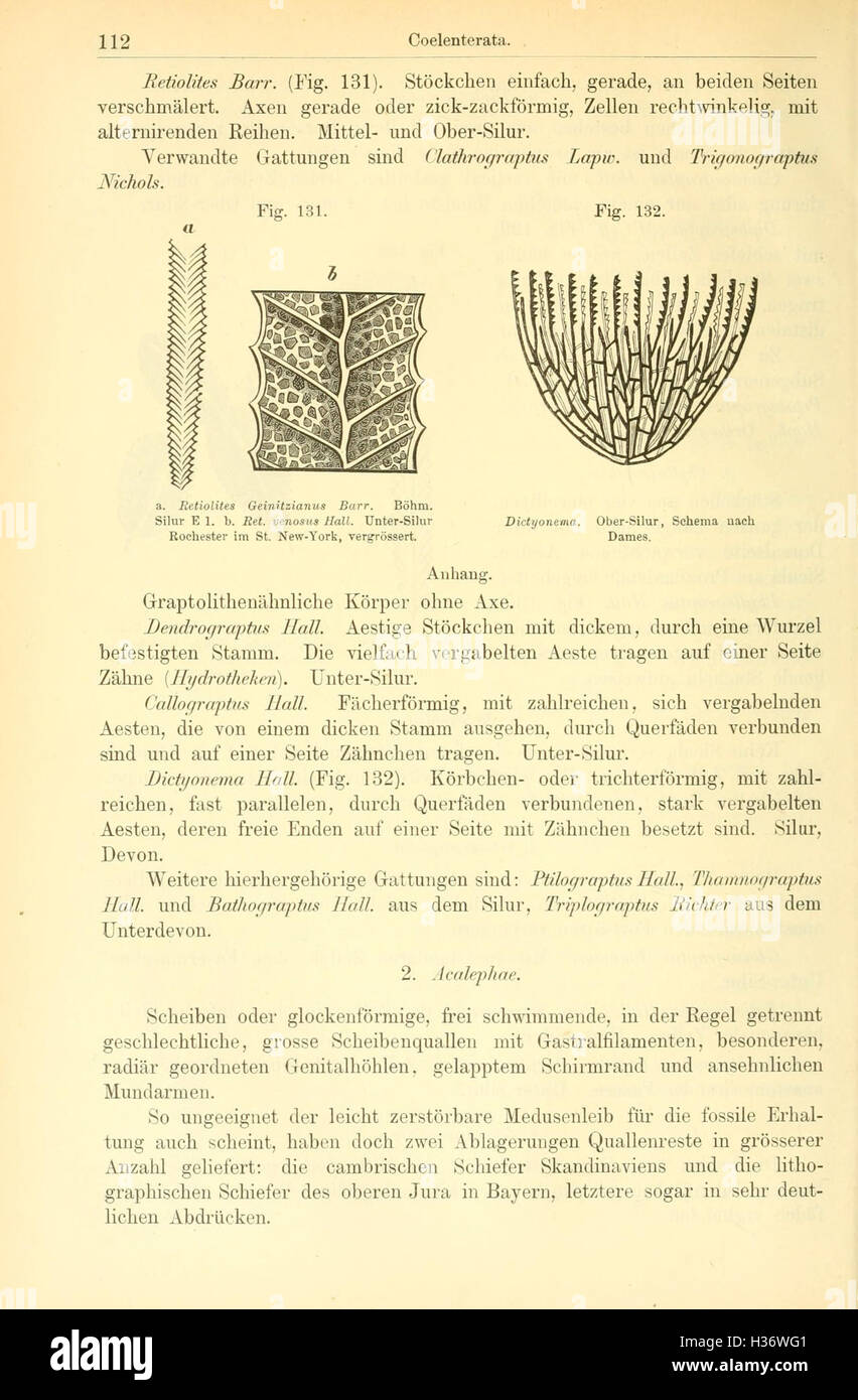 This page introduces fundamental concepts of paleontology, including ...