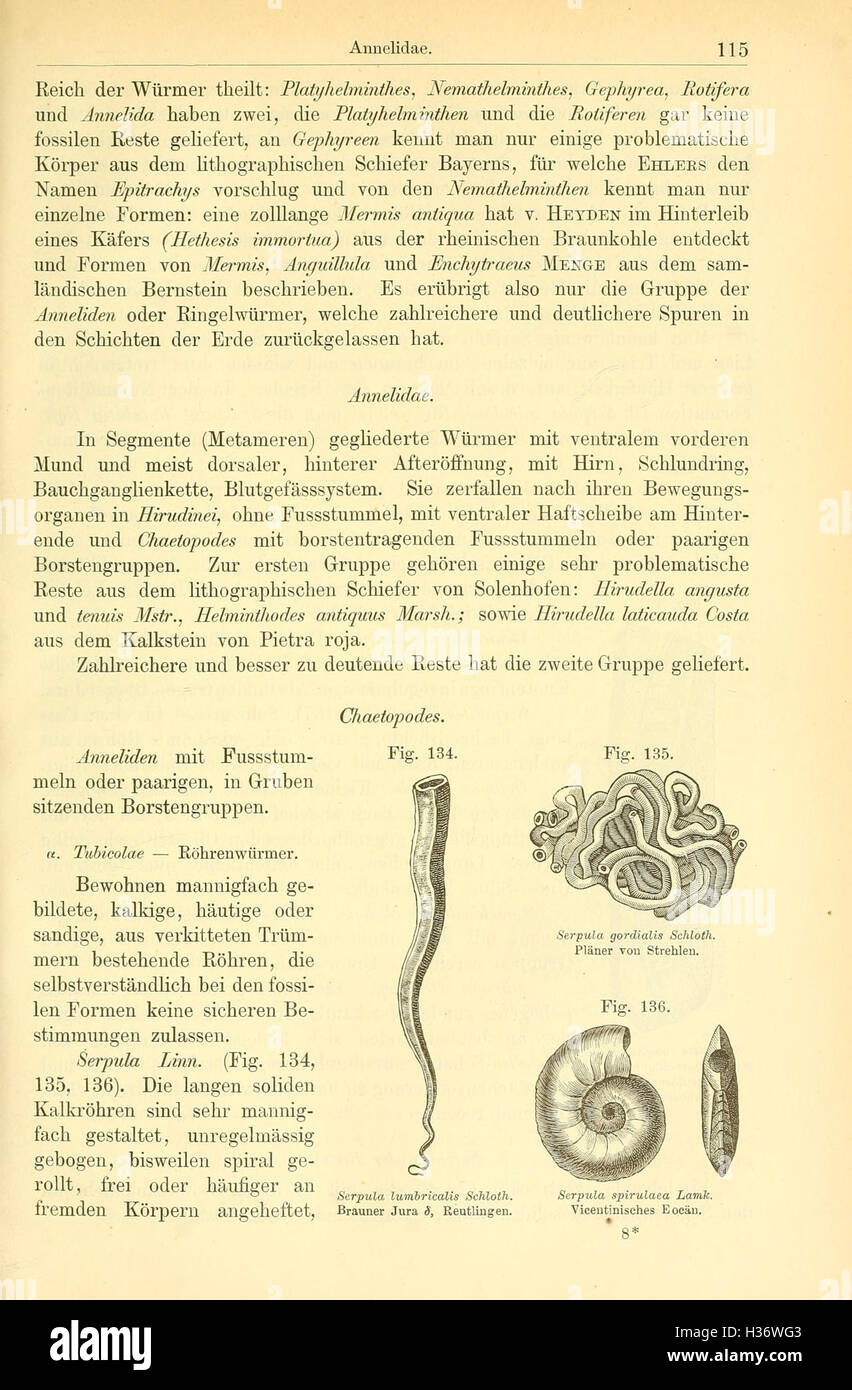 This text examines key elements of paleontology, including fossil ...