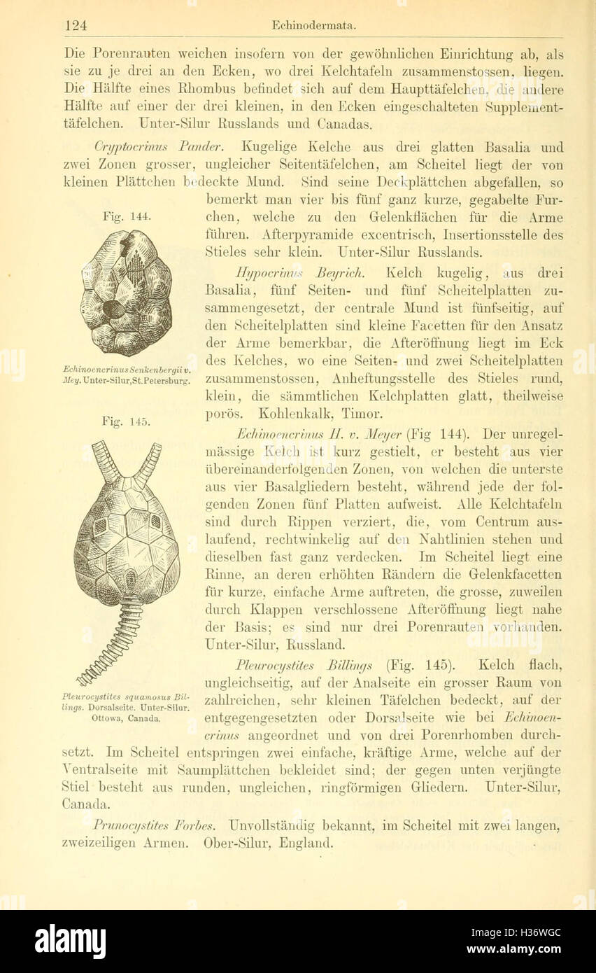 This work outlines key elements of paleontology, featuring ...