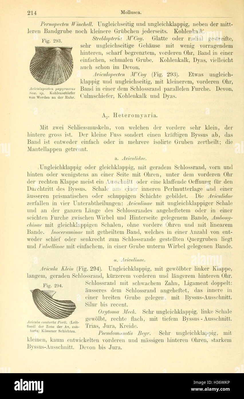 An introduction to paleontology with a focus on fossil evidence ...