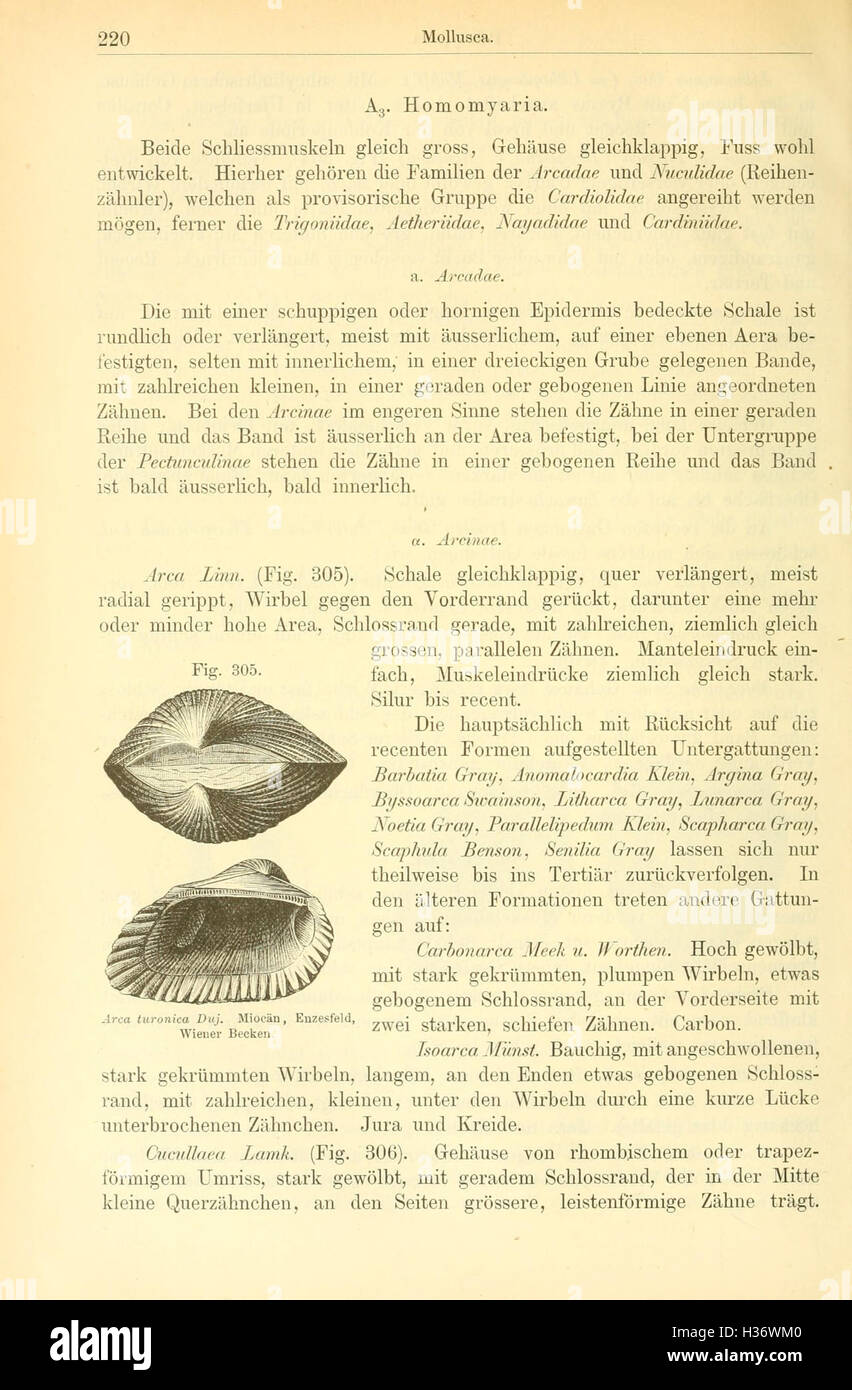 This book focuses on the elements of paleontology, highlighting key ...