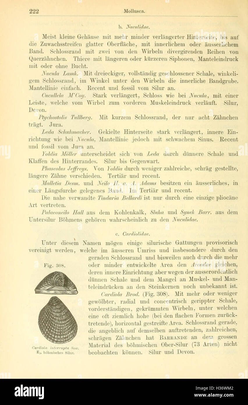 This section of paleontology outlines various extinct species and their ...