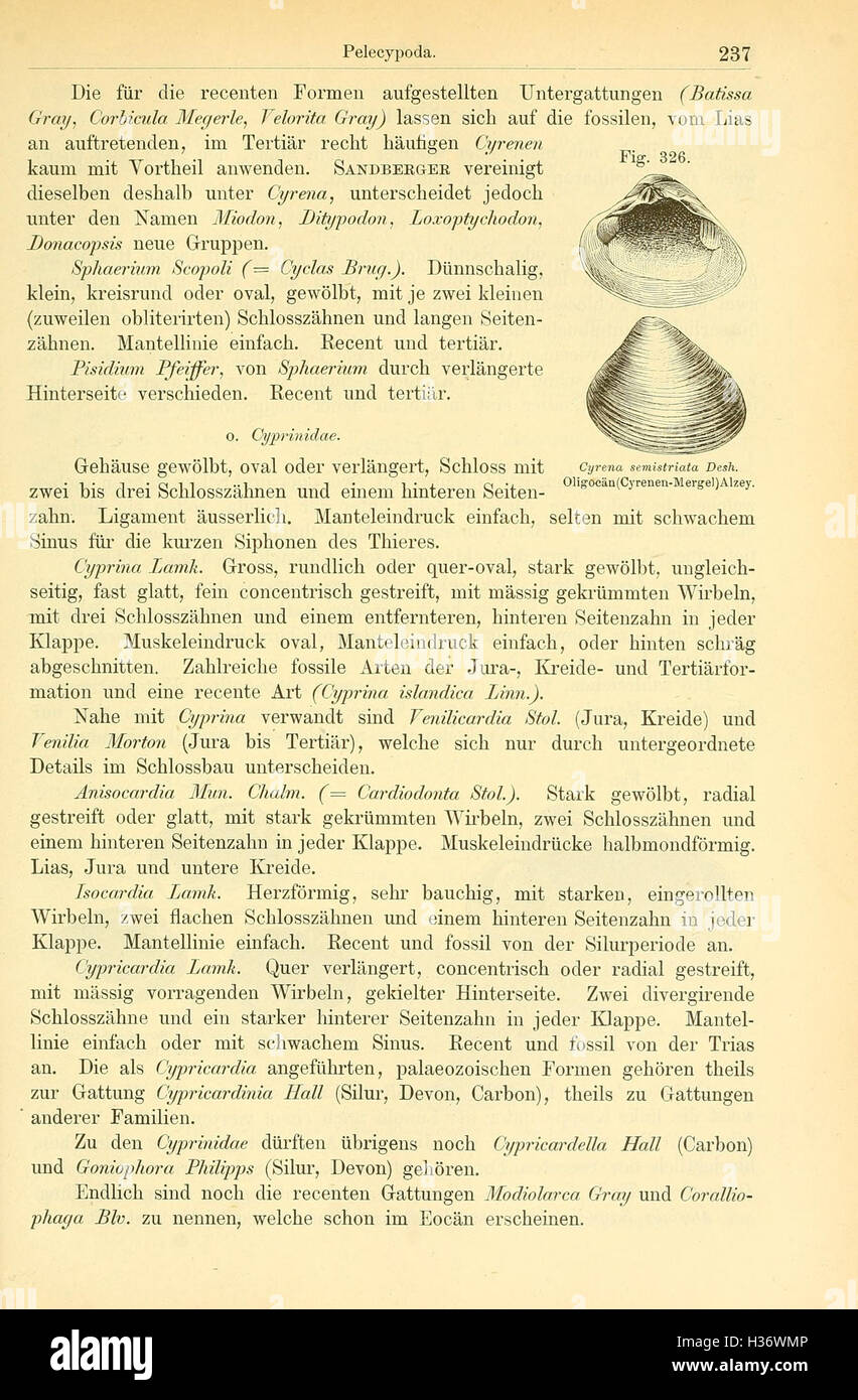 This work presents key elements of paleontology, including fossil ...