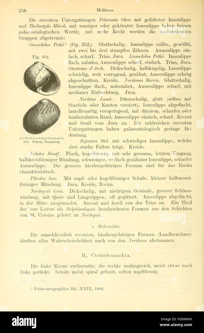 This text outlines key principles of paleontology, offering a visual ...