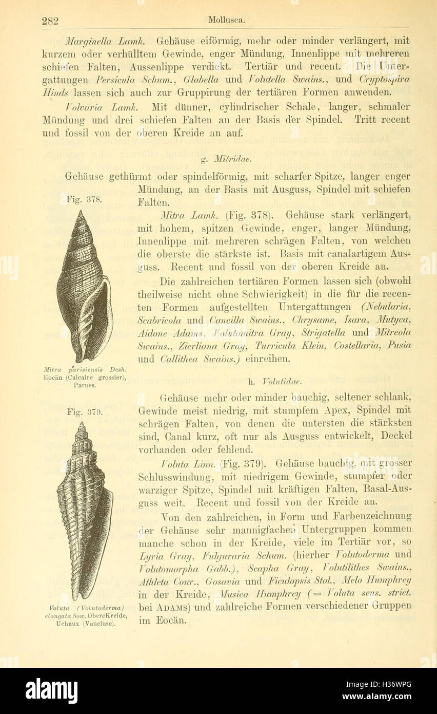 This text discusses key elements of paleontology, covering fossils ...