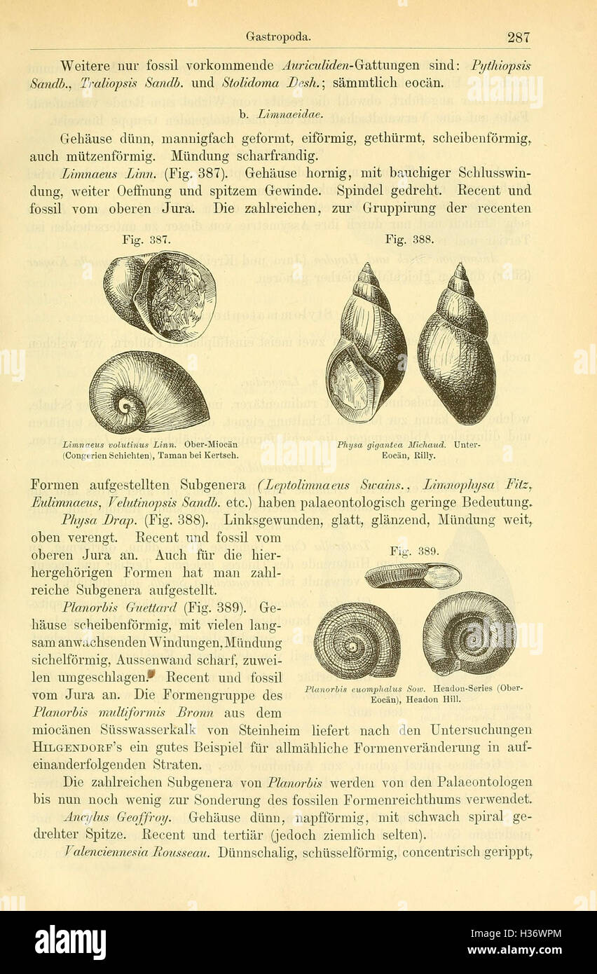 An exploration of key elements in paleontology, including fossil ...
