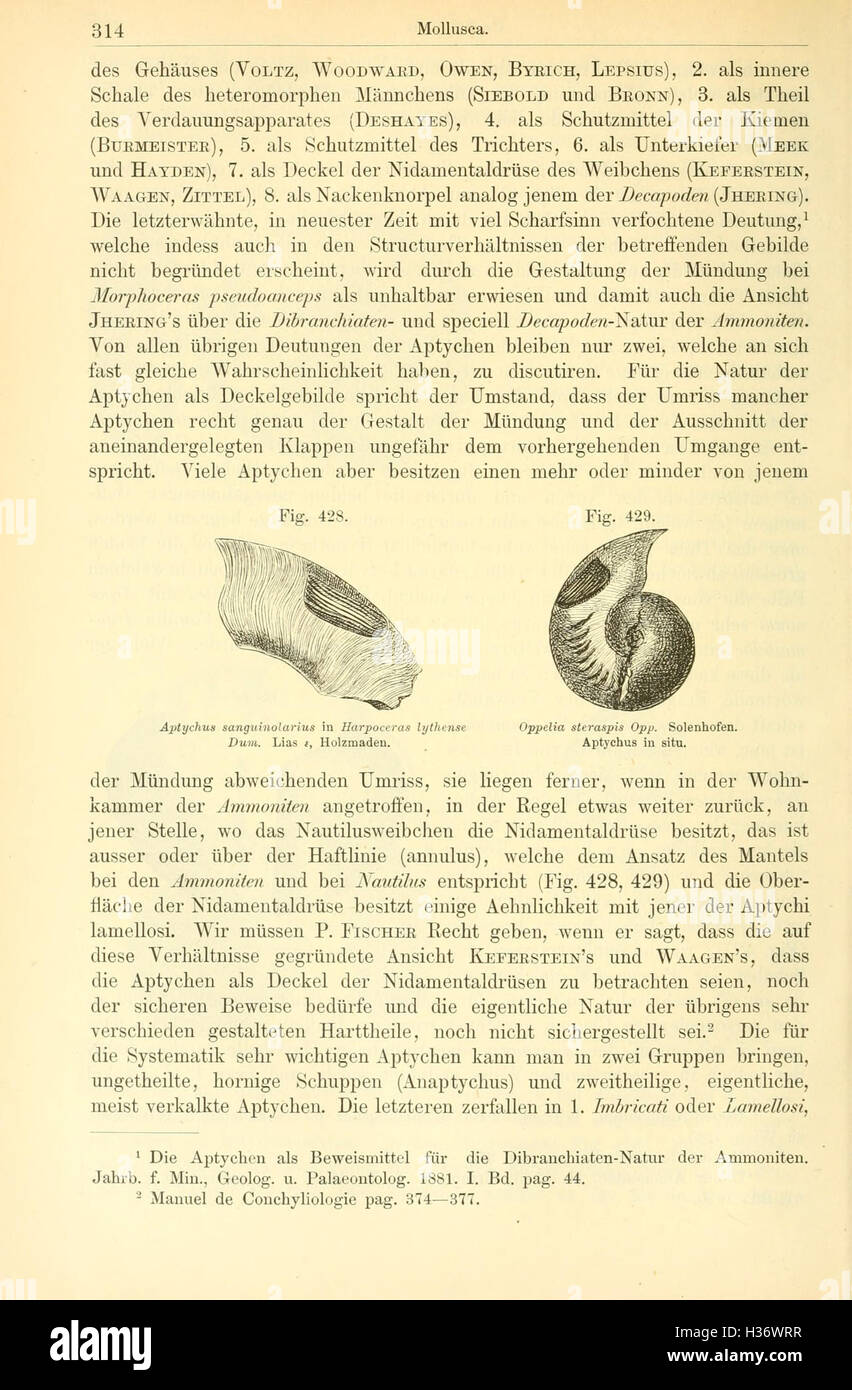 A detailed exploration of paleontological elements, illustrated with ...