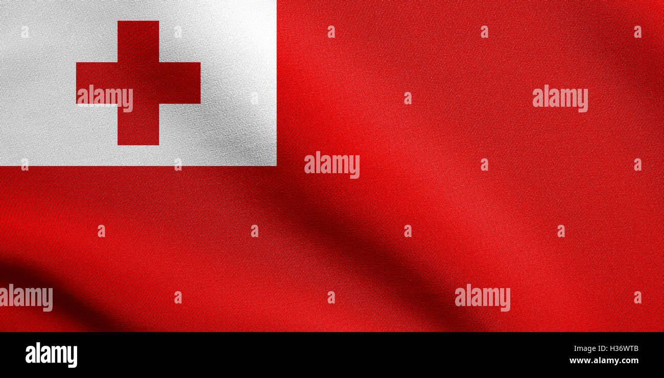 Tongan national official flag. Patriotic symbol, banner, element ...