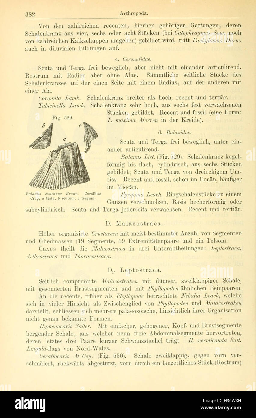 An introduction to paleontology, covering fundamental concepts, fossil ...