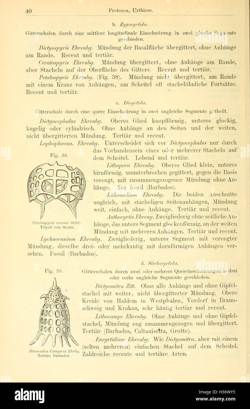 An introduction to the key concepts and illustrations in paleontology ...