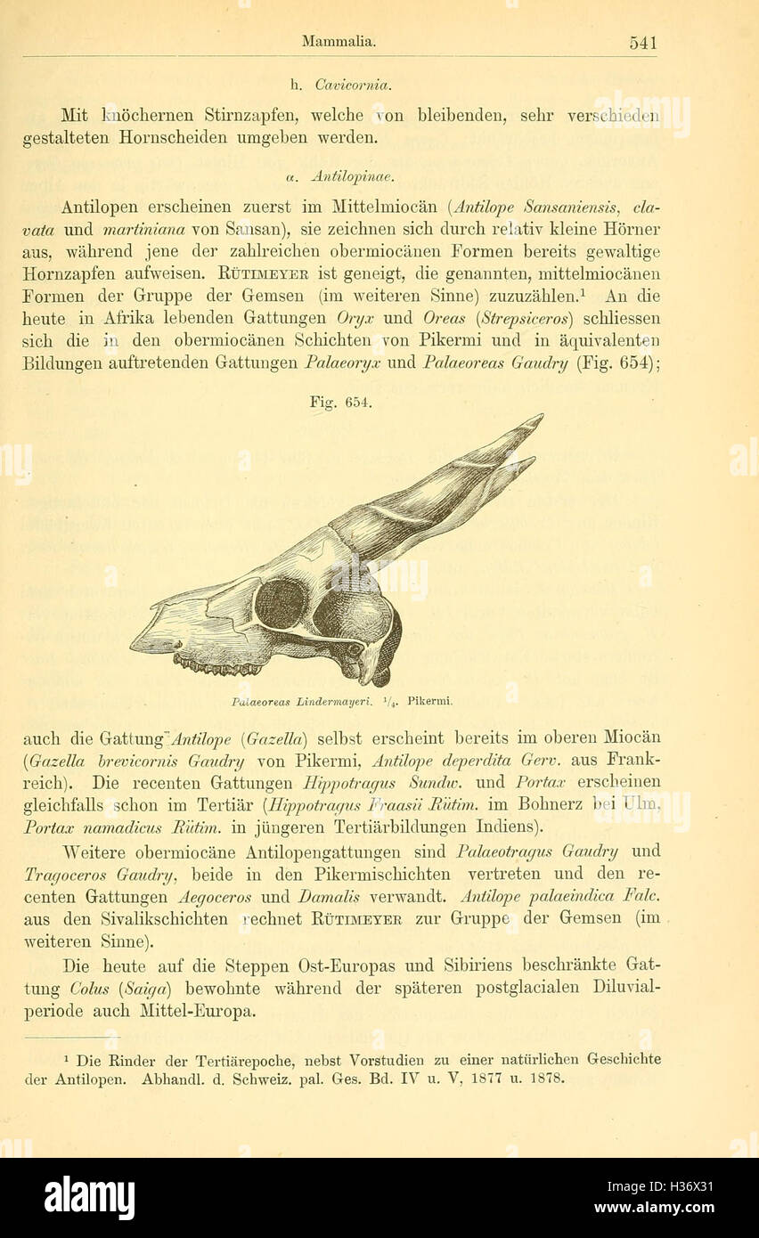 This German text provides an introduction to the elements of ...