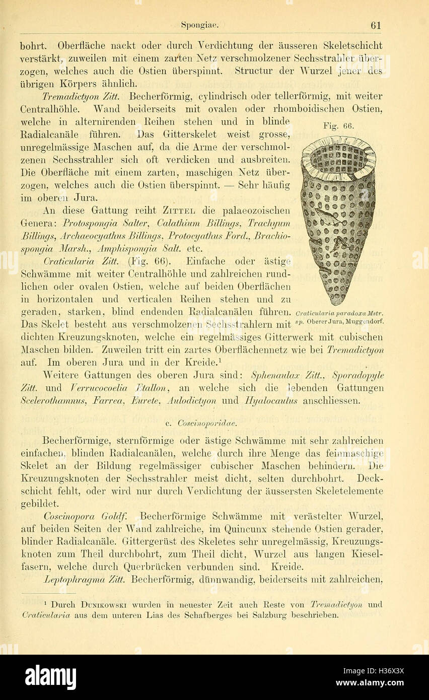 This text outlines the elements of paleontology, focusing on the ...