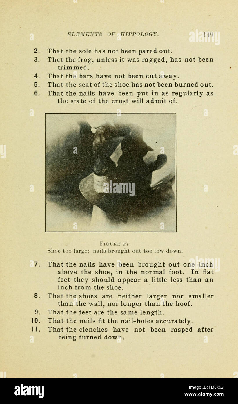 This page covers the essential principles of hippology, the study of ...