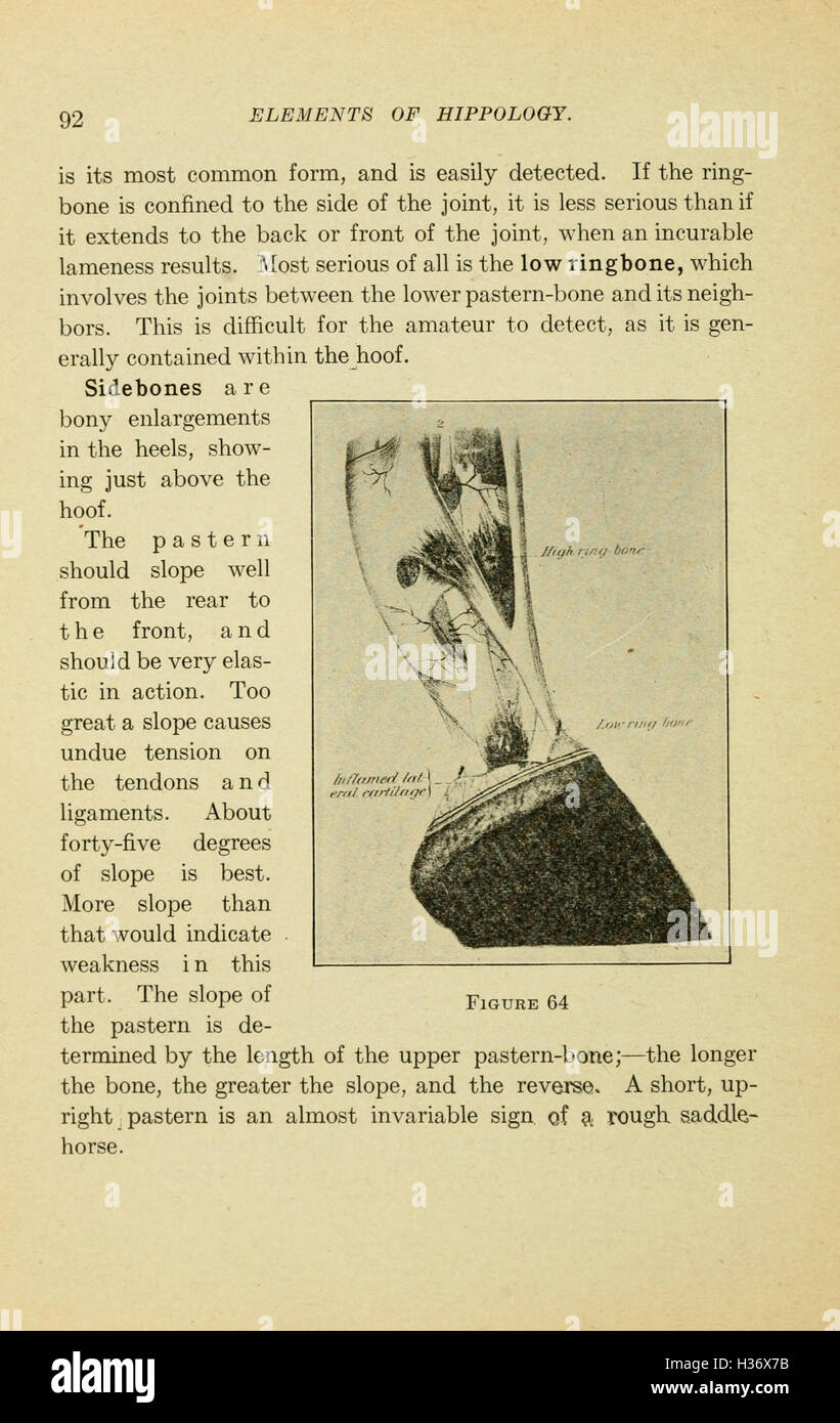 Elements of hippology (Page 92) BHL193 Stock Photo - Alamy