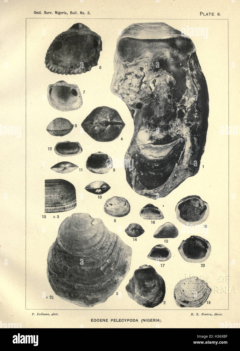 Eocene map hi-res stock photography and images - Alamy