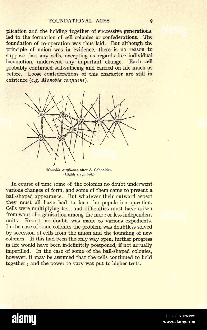This work explores the history of evolution, examining key fossil ...