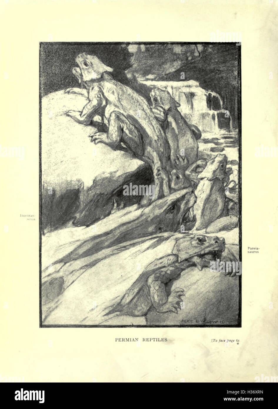 'Evolution in the Past' presents a visual representation of the ...