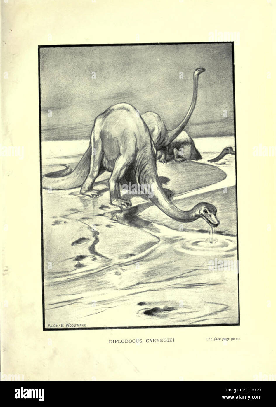 A visual representation of past evolutionary processes, showing key ...