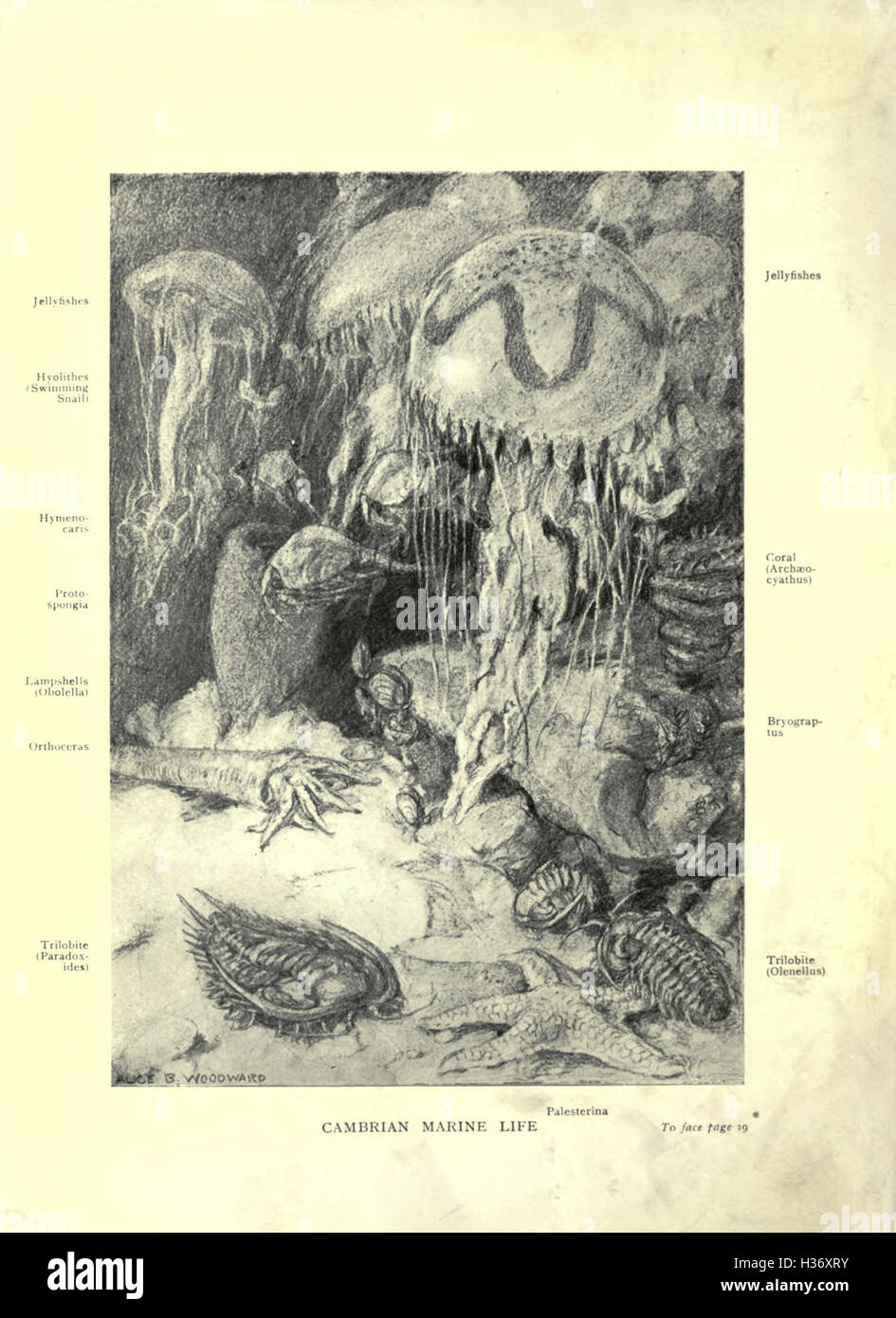 This plate provides a visual representation of key moments in ...