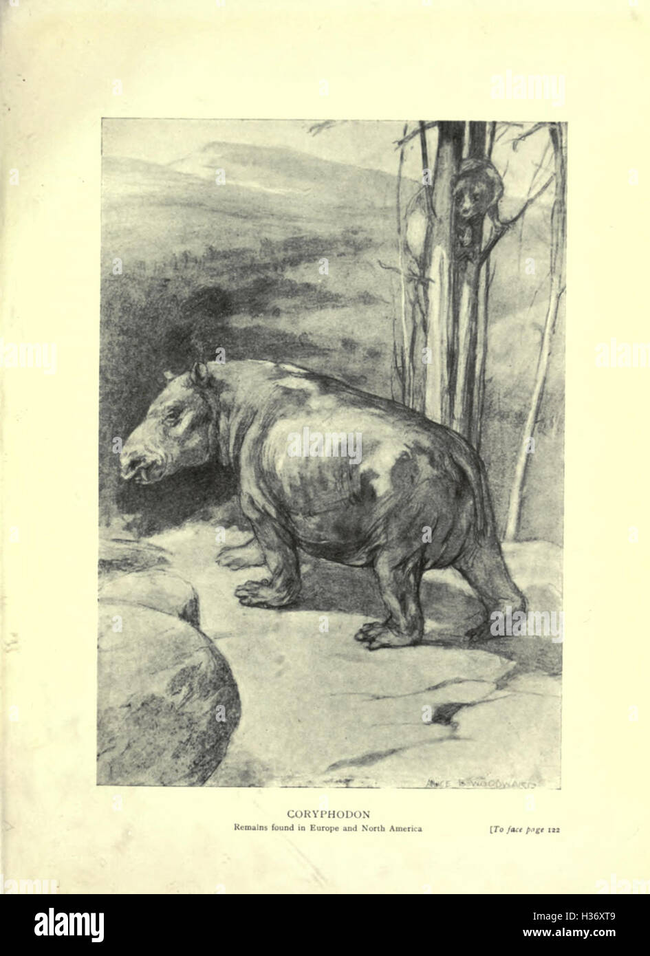 This work provides insights into past evolutionary processes, examining ...