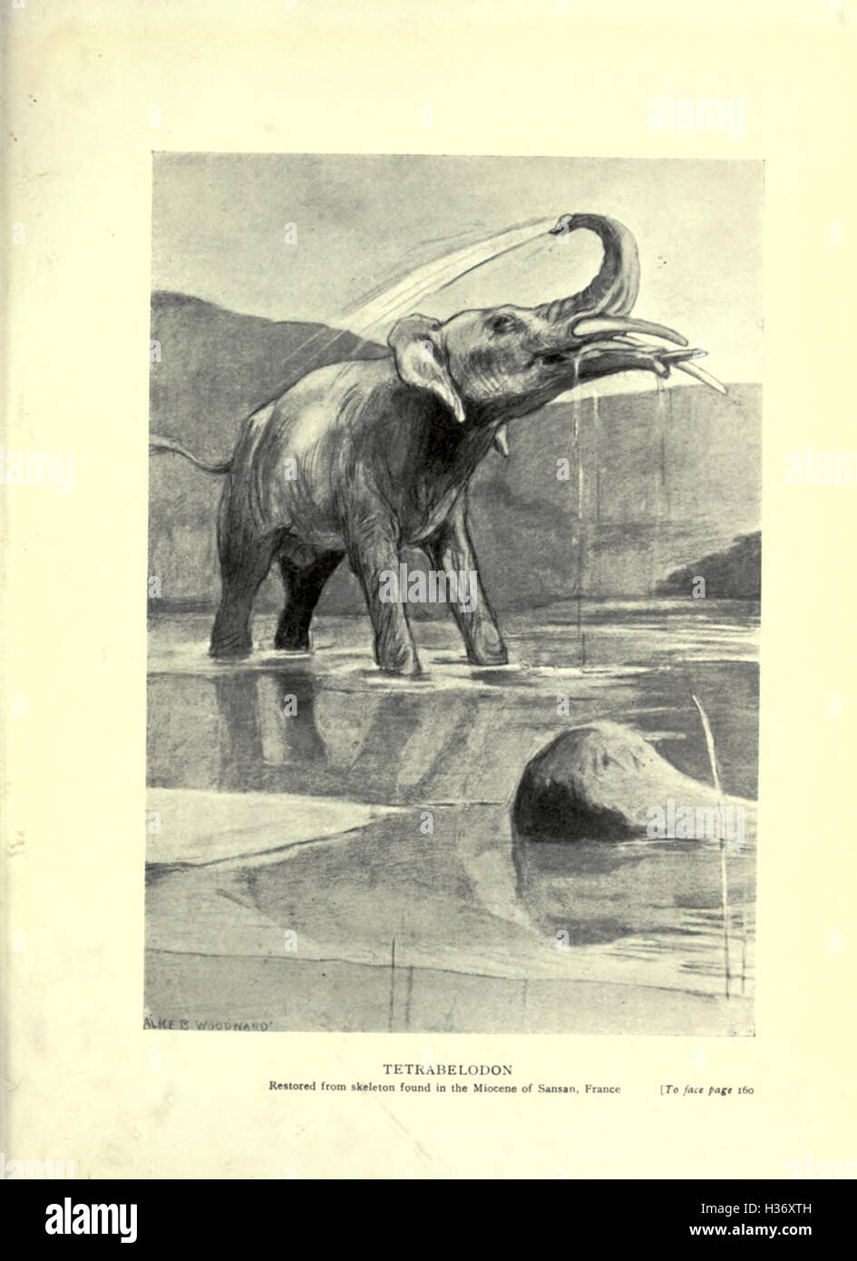 An exploration of evolutionary processes in past geological periods ...