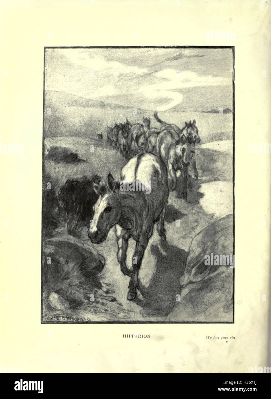 This work examines past evolutionary processes through visual ...