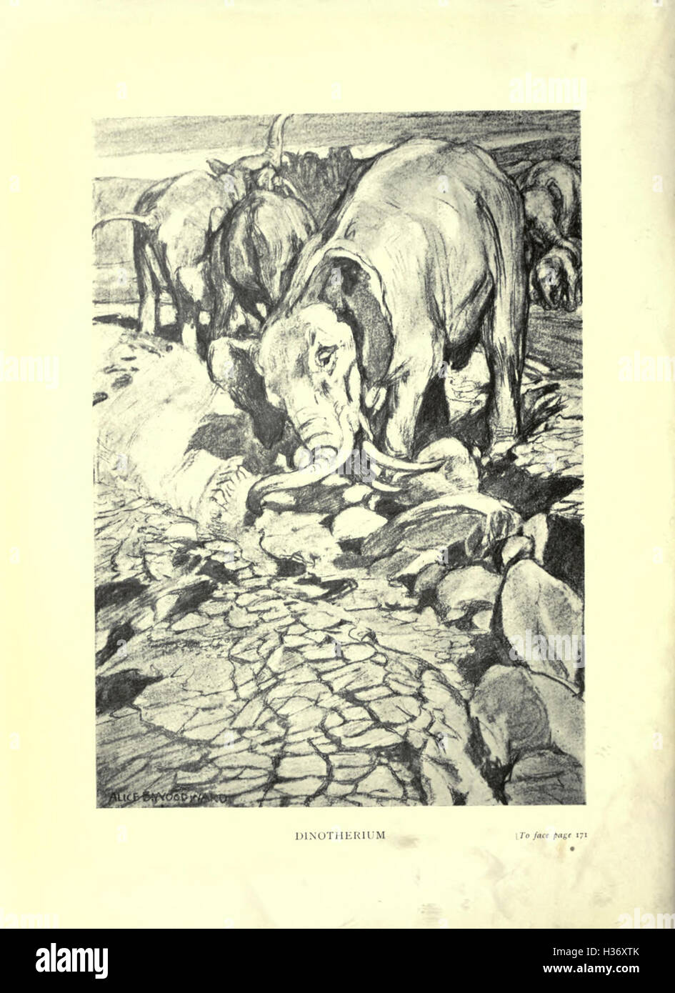 This work illustrates the history of evolution, providing visual ...