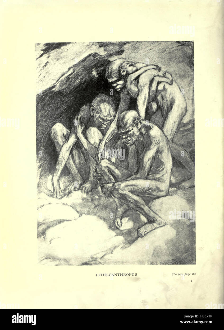 This plate illustrates key moments in evolutionary history, presenting ...