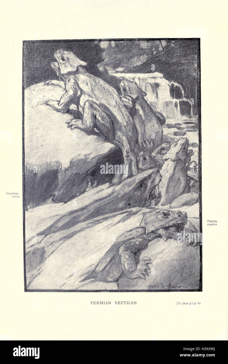 This text provides an overview of evolutionary processes in ancient ...