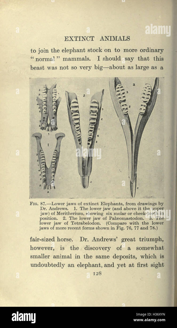 This text focuses on extinct animal species, discussing their history ...