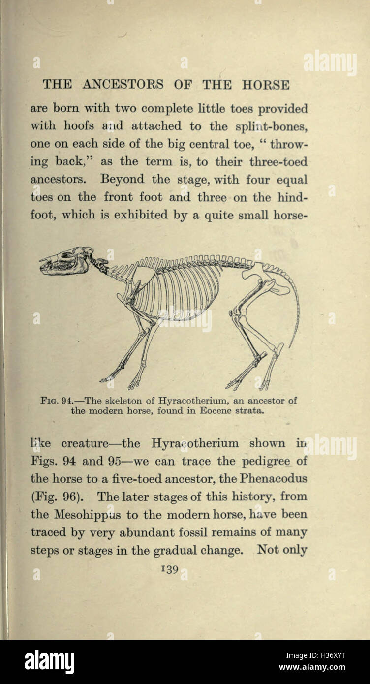 Pages 139 hi-res stock photography and images - Alamy