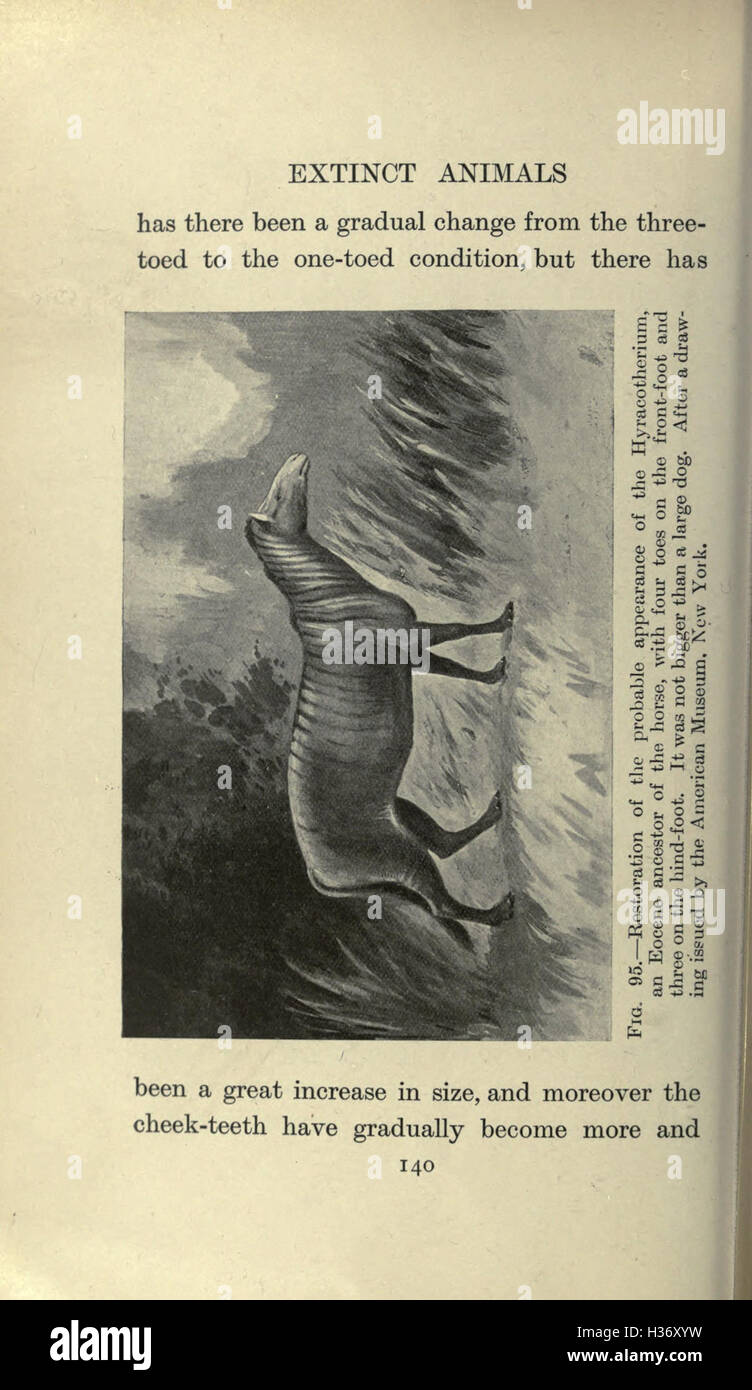 An overview of extinct animals, examining their biological traits ...