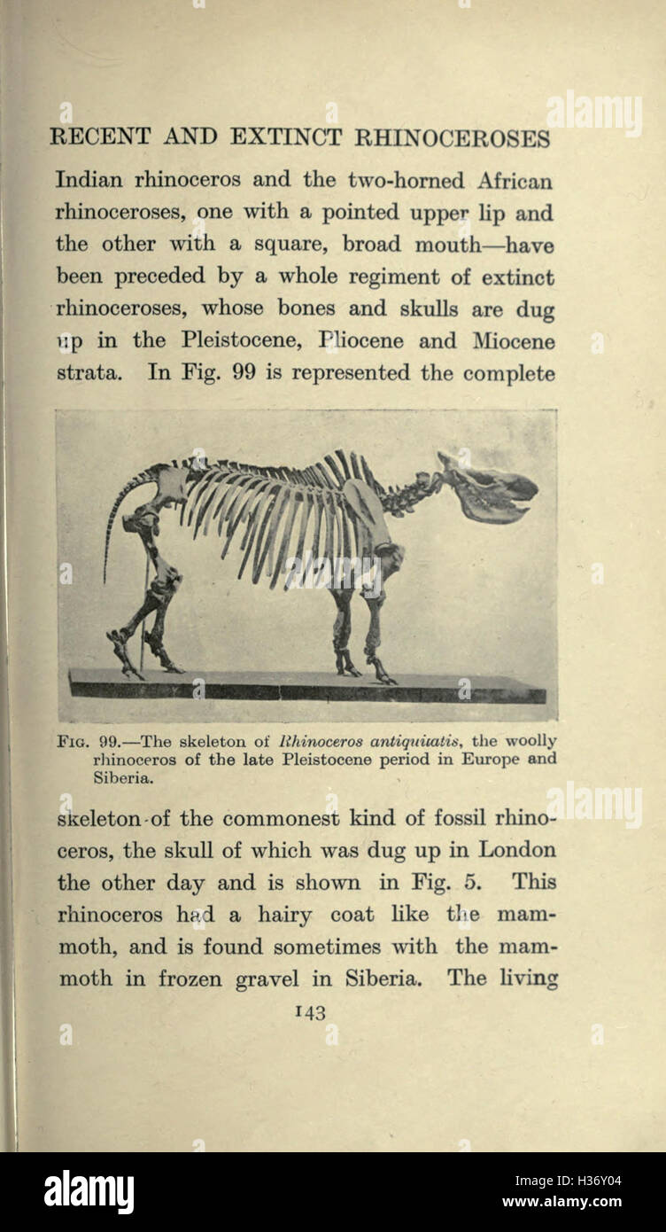 This text discusses various extinct species, offering insights into ...