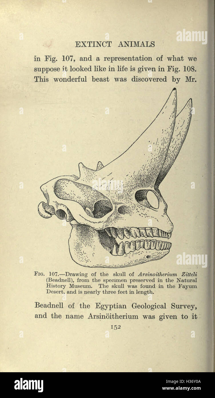 This work discusses extinct animal species, examining their origins ...