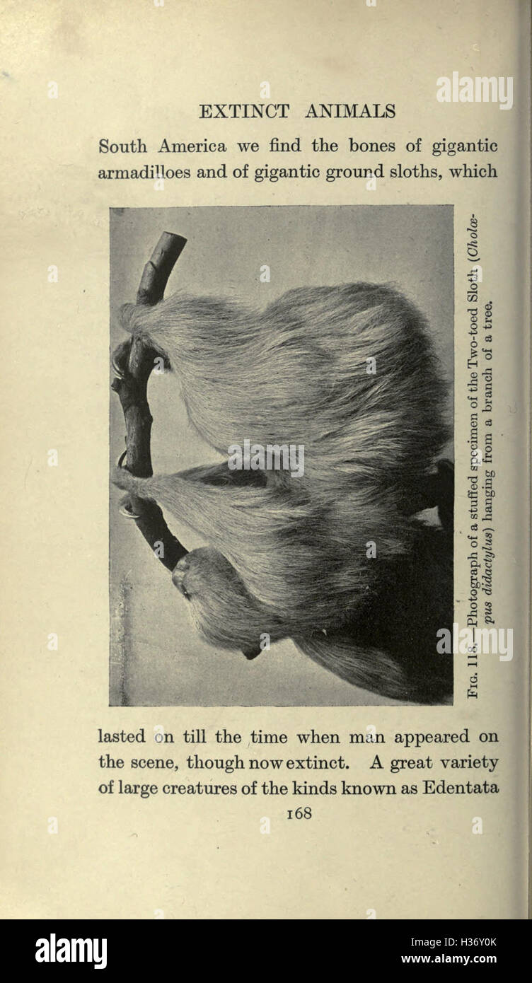 This page from 'Extinct Animals' provides a detailed overview of ...