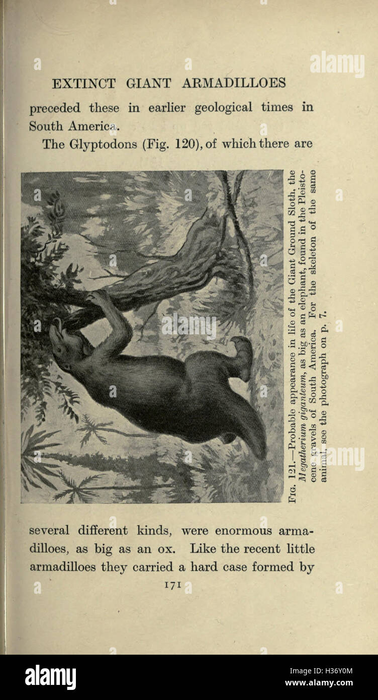 This work covers extinct animals, providing insights into their biology ...