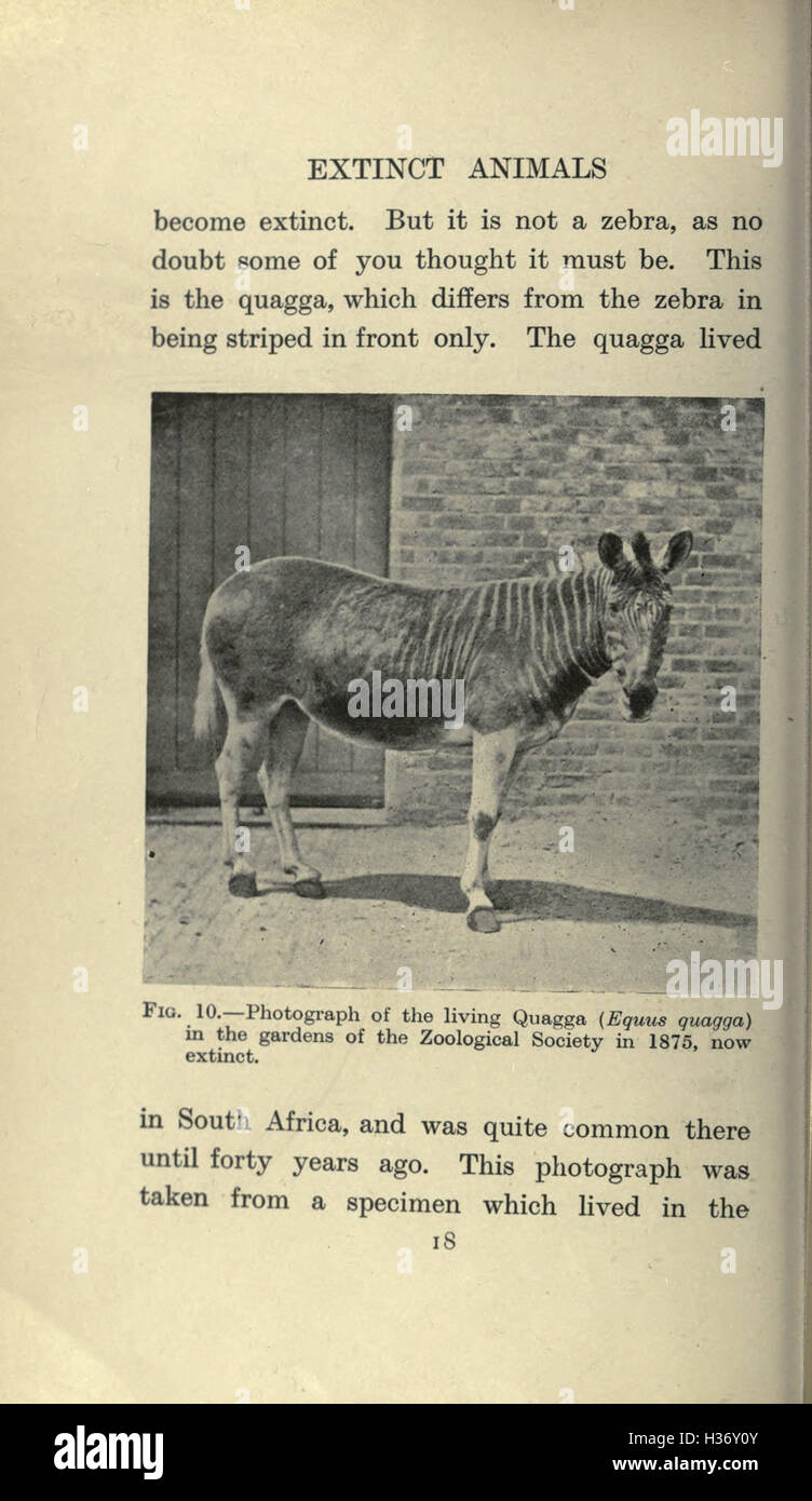 This text explores extinct animal species, providing a historical ...