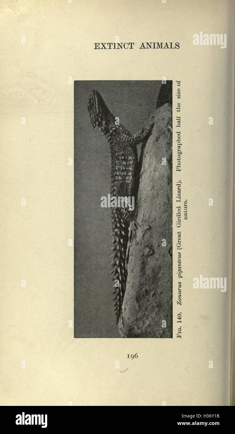 This text examines extinct animal species, focusing on their evolution ...