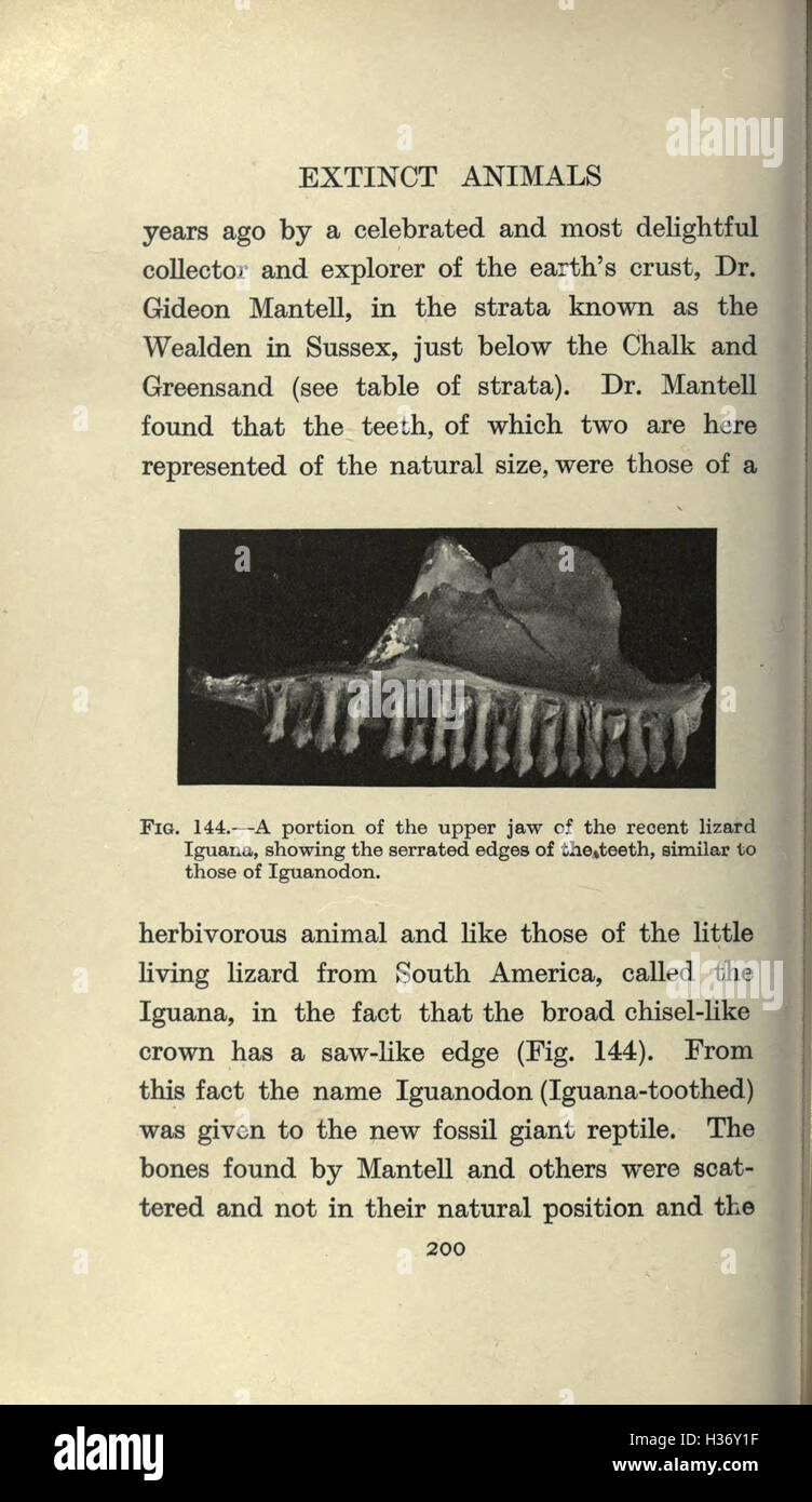 This work covers extinct animal species, offering an overview of their ...
