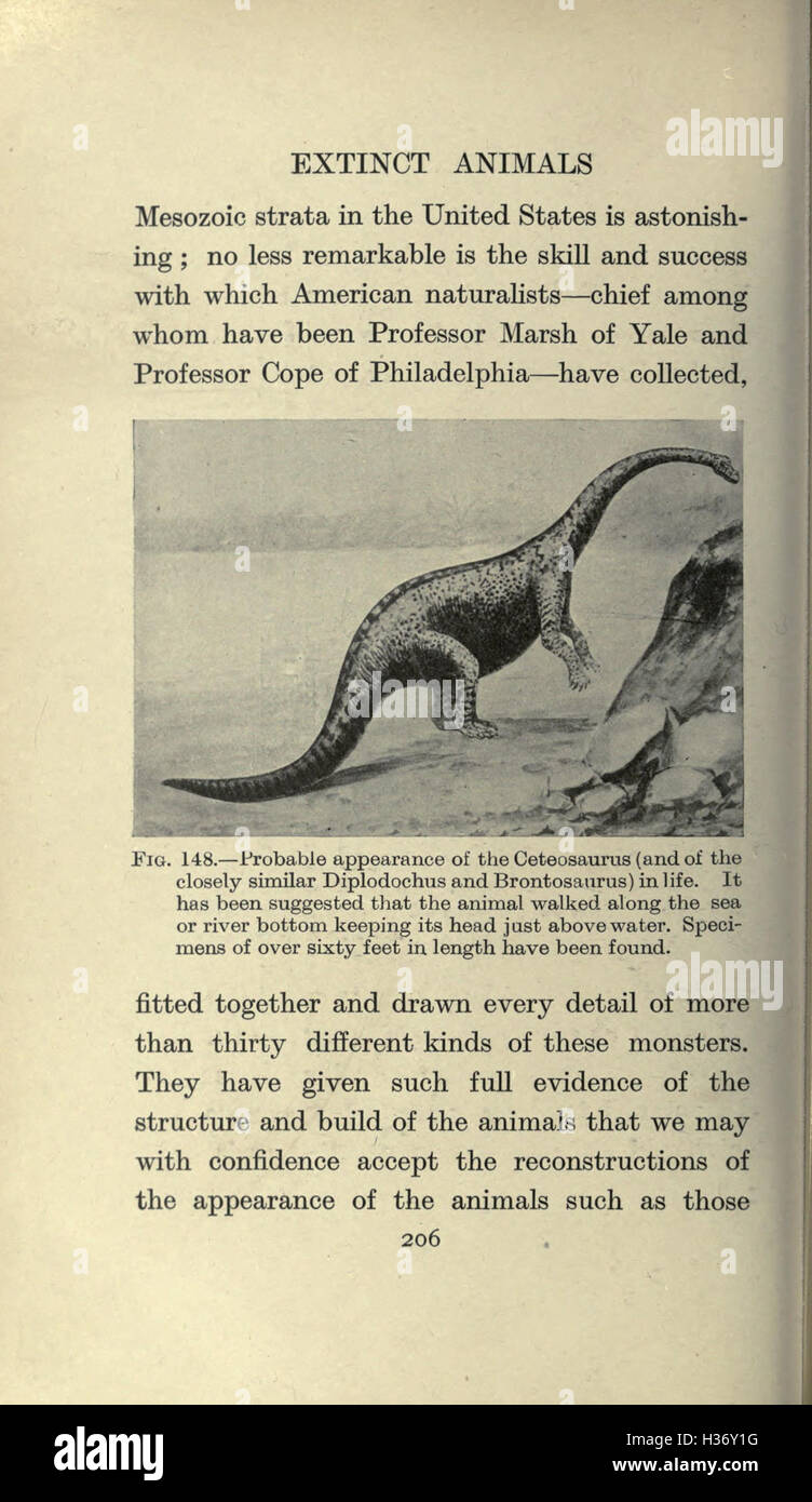 A study of extinct animal species, documenting their fossil records ...
