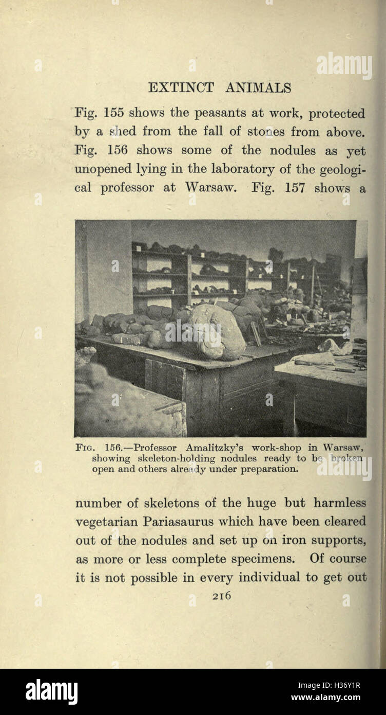 This book explores extinct animal species, focusing on their ...